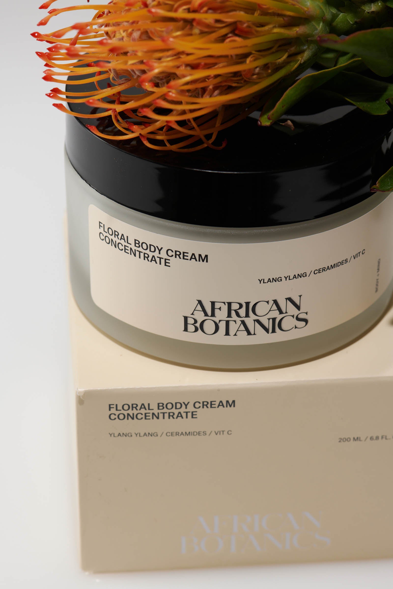 Dryness & Dehydration – African Botanics Inc