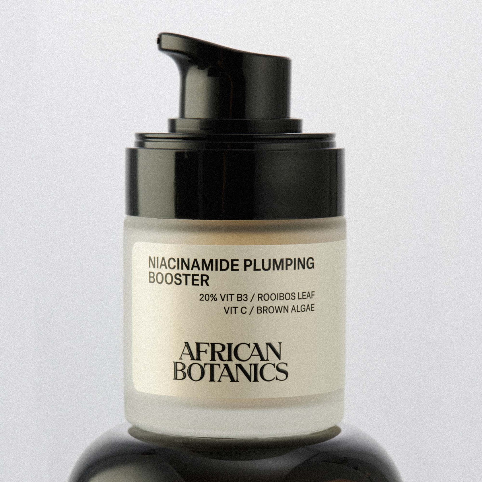 Niacinamide Plumping Booster – African Botanics Inc